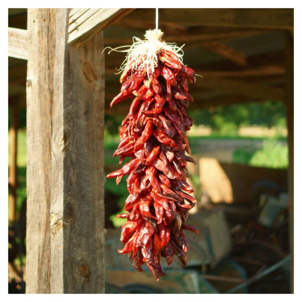 Handmade New Mexico Mesilla Valley Sandia Red Chile Pepper Ristras